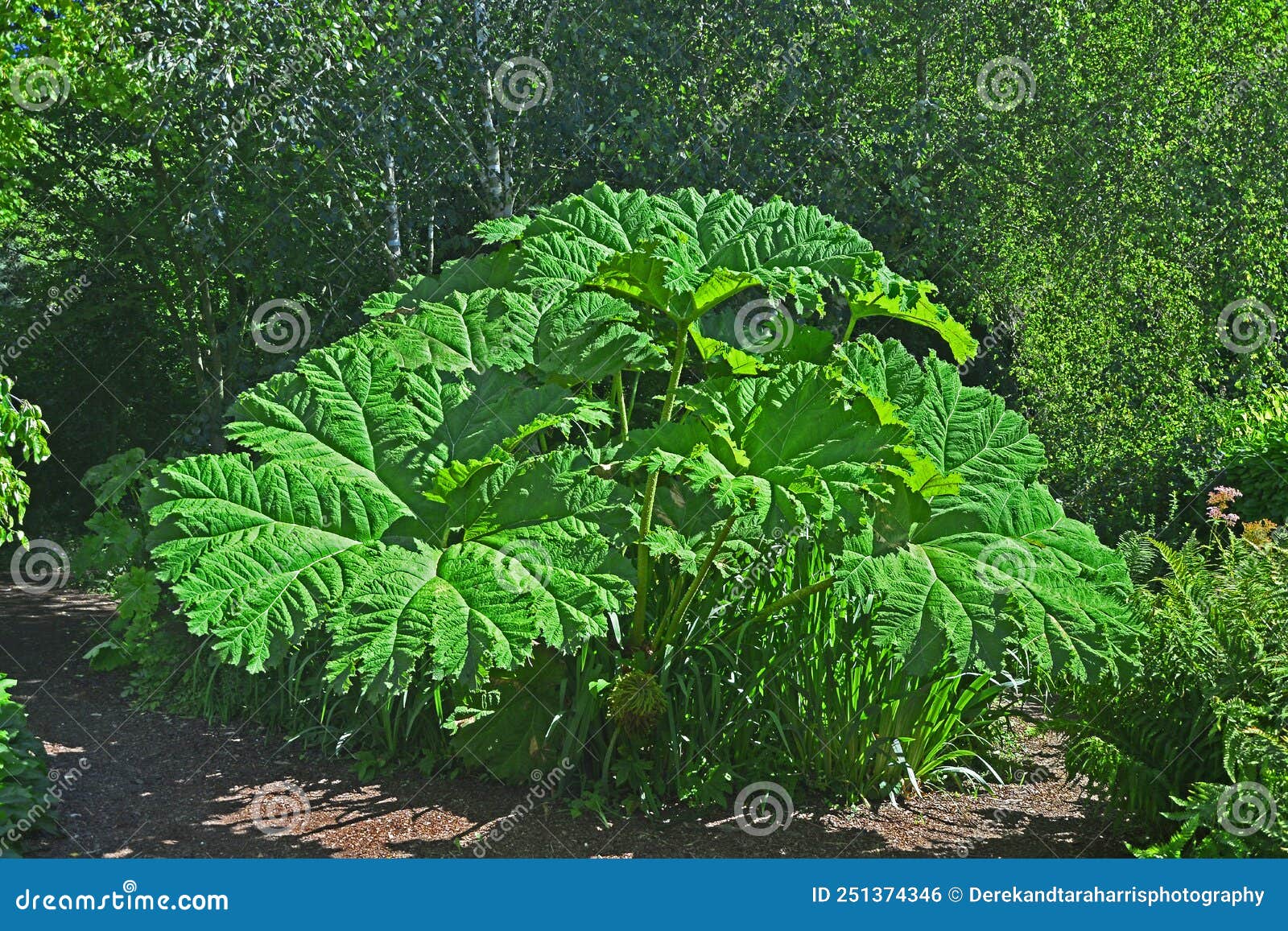 Manicate Stock Photos - Free & Royalty-Free Stock Photos from Dreamstime