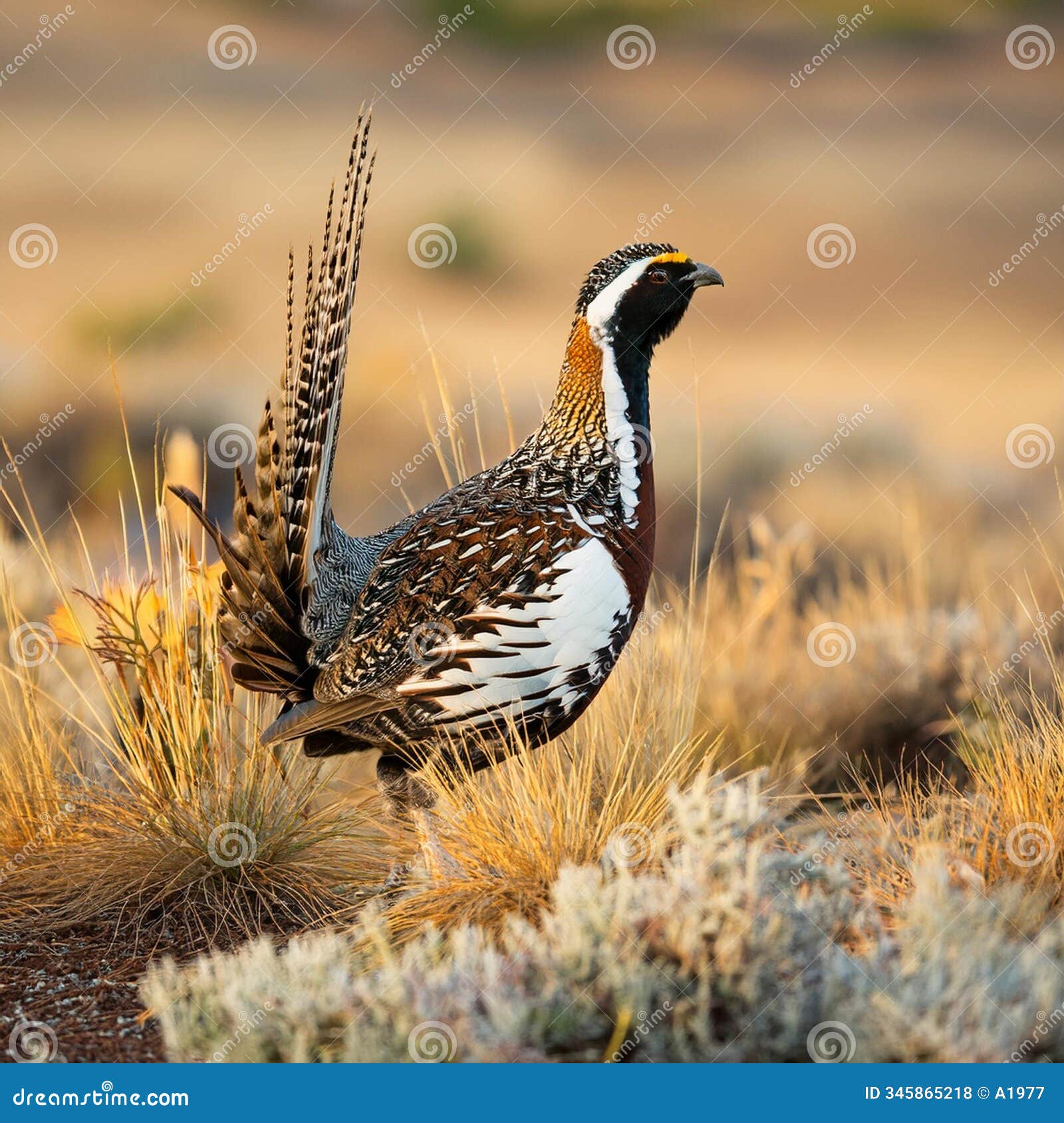 Minimus Cartoons, Illustrations & Vector Stock Images - 92 Pictures to ...