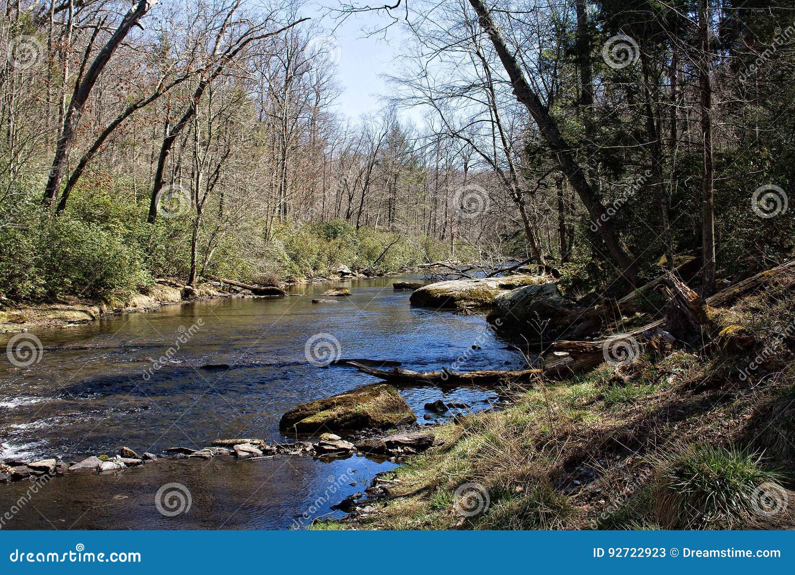 Gunpowder River Headwaters stock image. Image of trees - 92722923