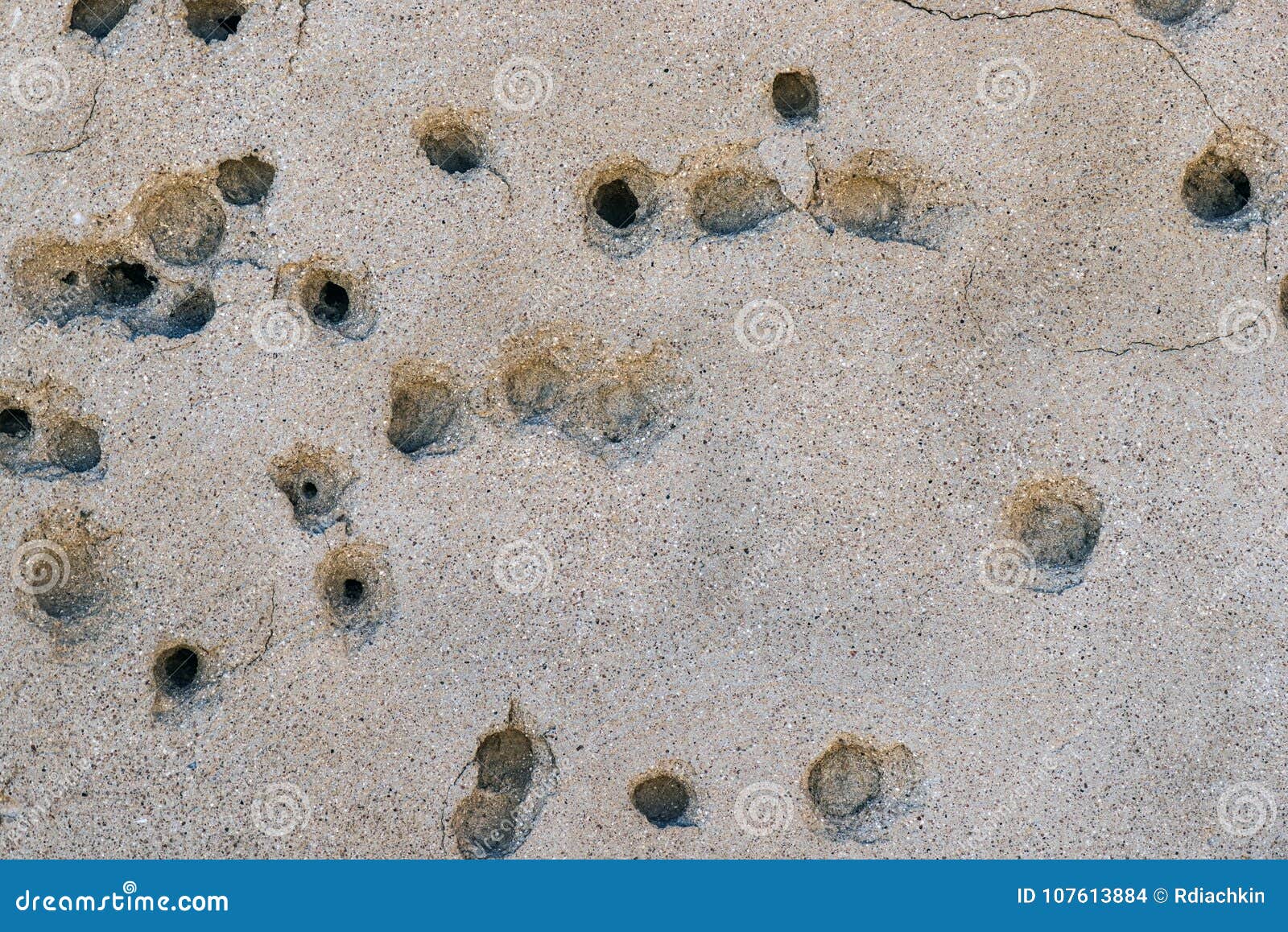 Gunshots and Machine Shot on the Wall Stock Photo - Image of hole ...