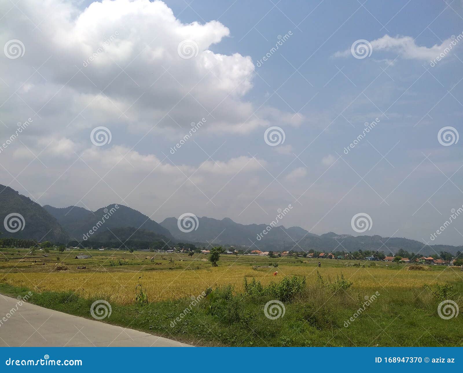 Gunung berawan stock photo. Image of sawah, gunung, berawan - 168947370