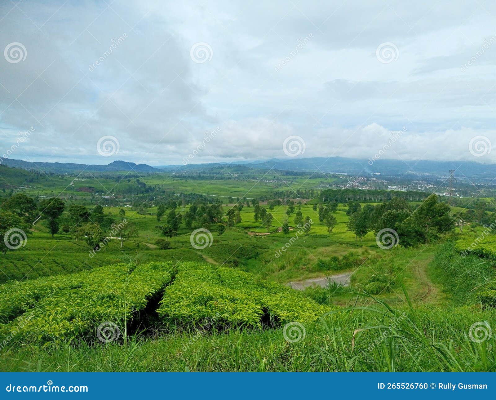Gunung Hijau Yang Cerah Dan Indah Photo stock - Image du pré, plateau ...
