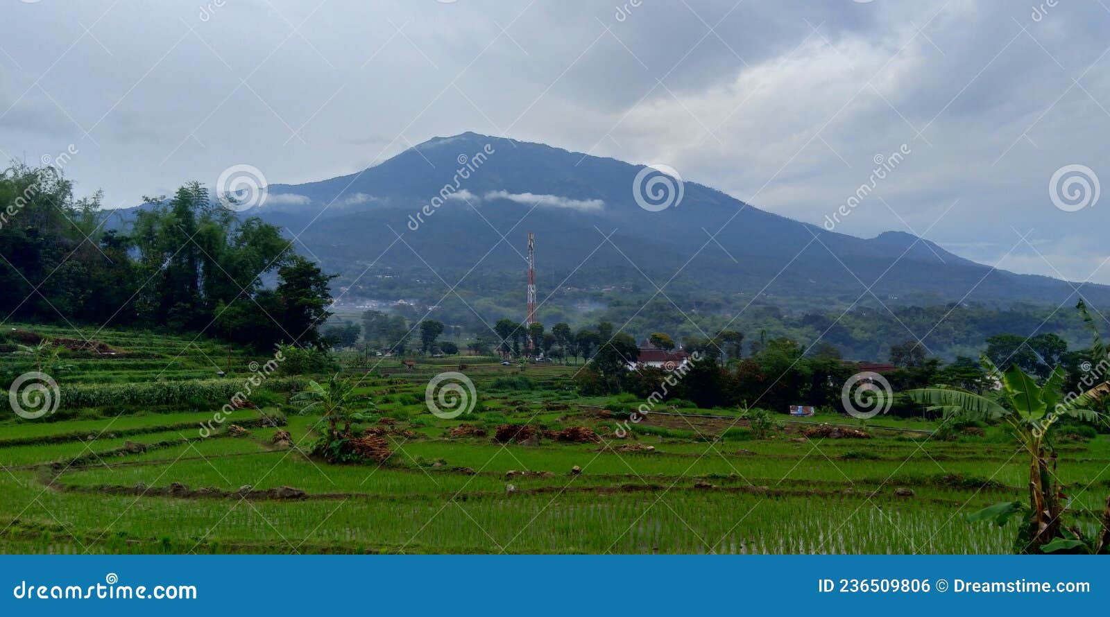 Gunung lawu view stock photo. Image of sarangan, gunung - 236509806
