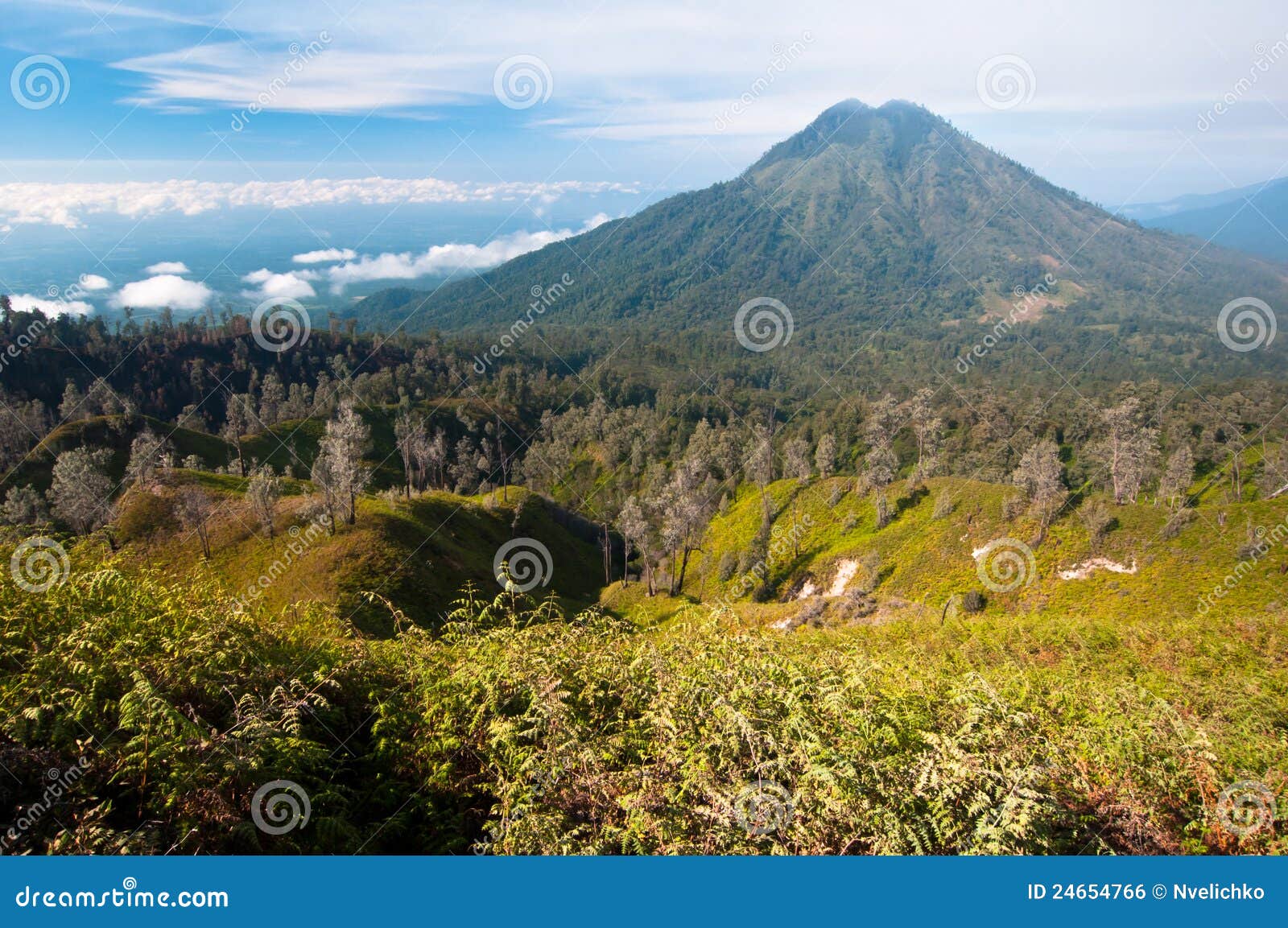 Gunung Merapi Volcano stock photo. Image of nature, morning - 24654766