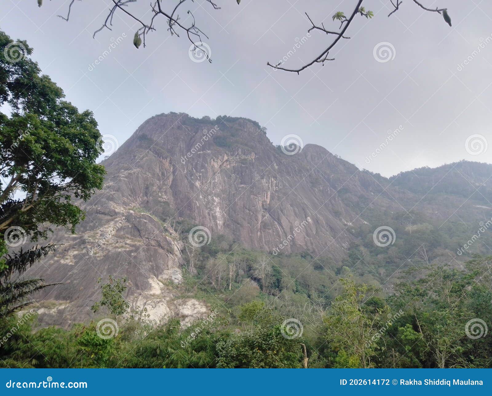 Parang Mountain stock photo. Image of jungle, parang - 202614172