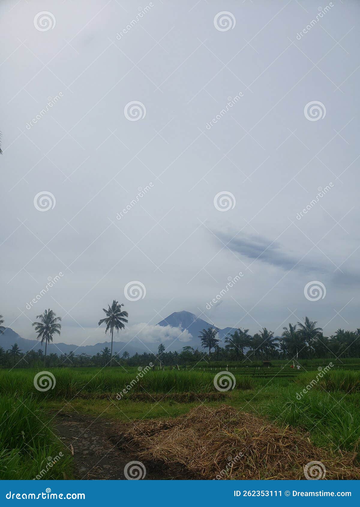 Top Of The Semeru. Indonesia Royalty-Free Stock Photography ...