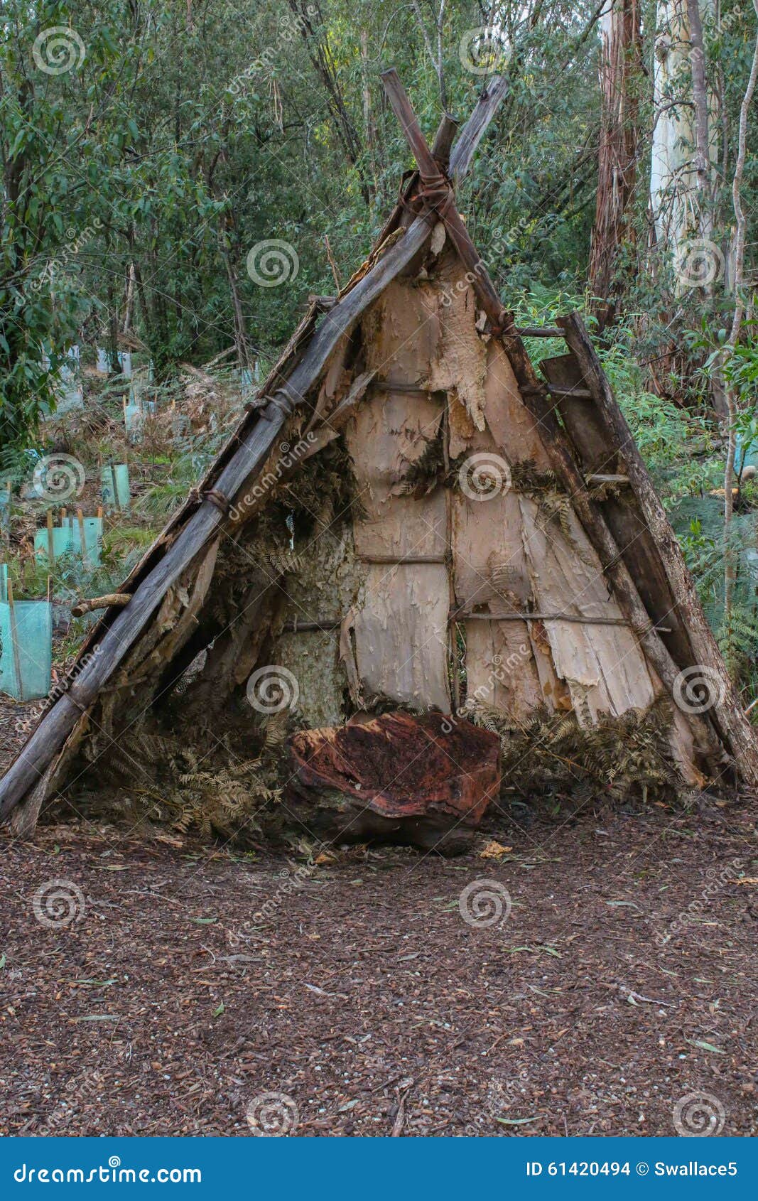 Gunyah Stock Photo - Image: 61420494