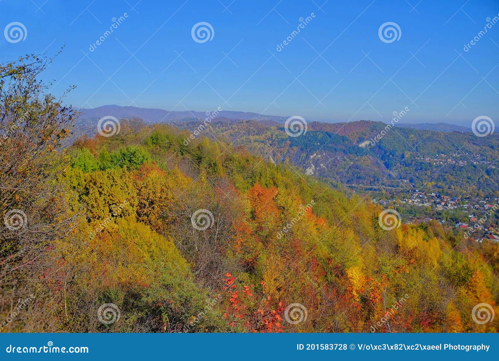 Gurga Mare Peak stock photo. Image of naturereserve - 201583728