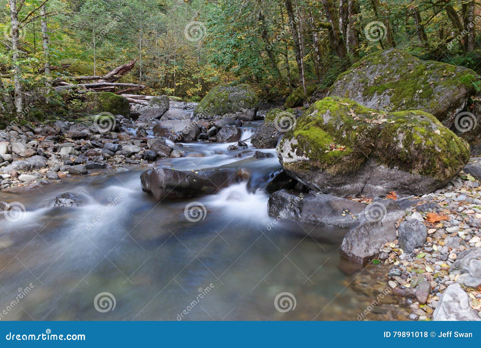 The Gurgling of Small Rapids Stock Photo - Image of small, streams ...