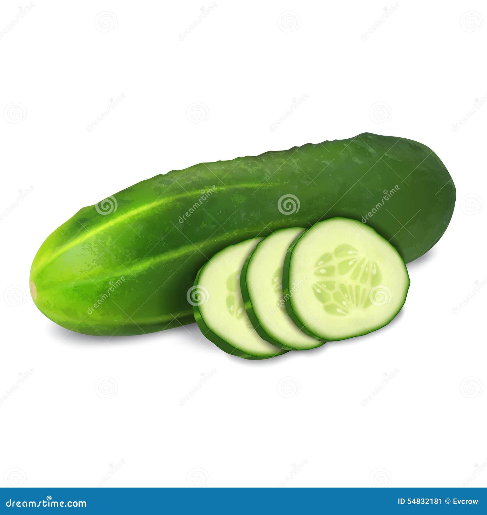 Gurke vektor abbildung. Illustration von scheibe, gesund - 54832181