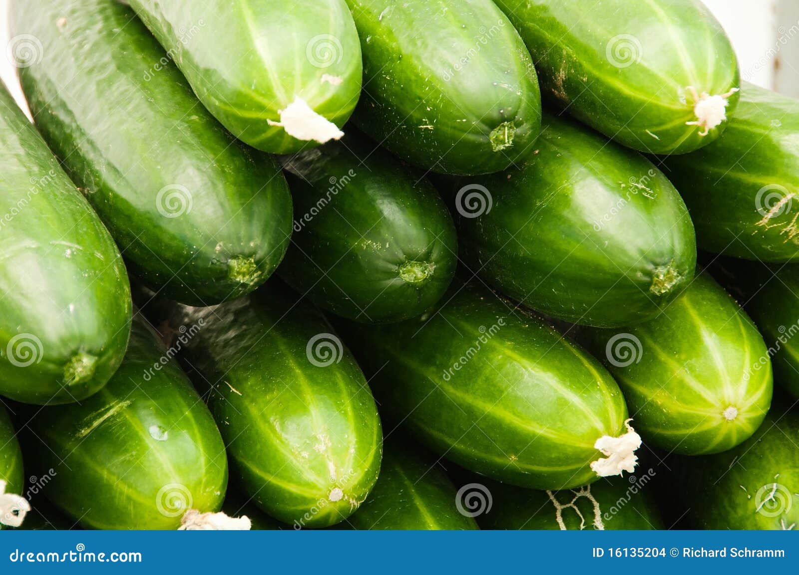 Gurken stock photo. Image of hungry, cucumbers, vegetable - 16135204