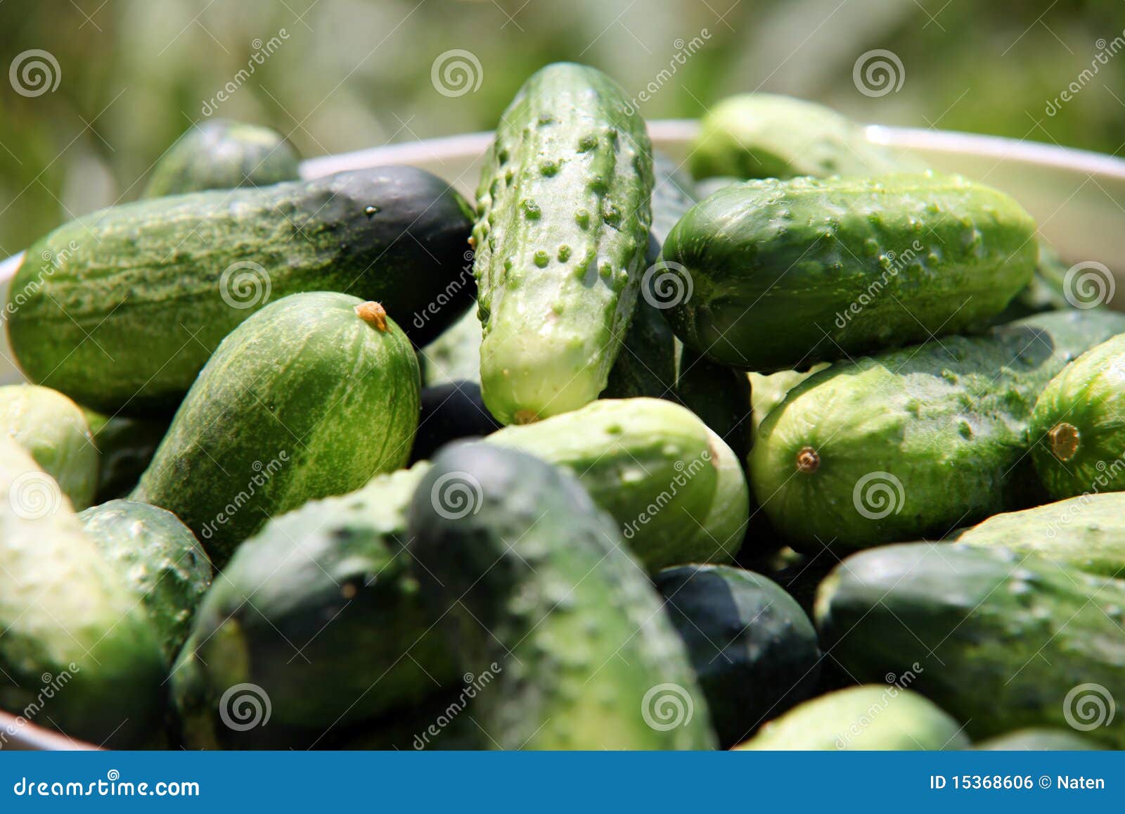 Gurkor arkivfoto. Bild av gurkor, grönsaker, hälsa, grön - 15368606