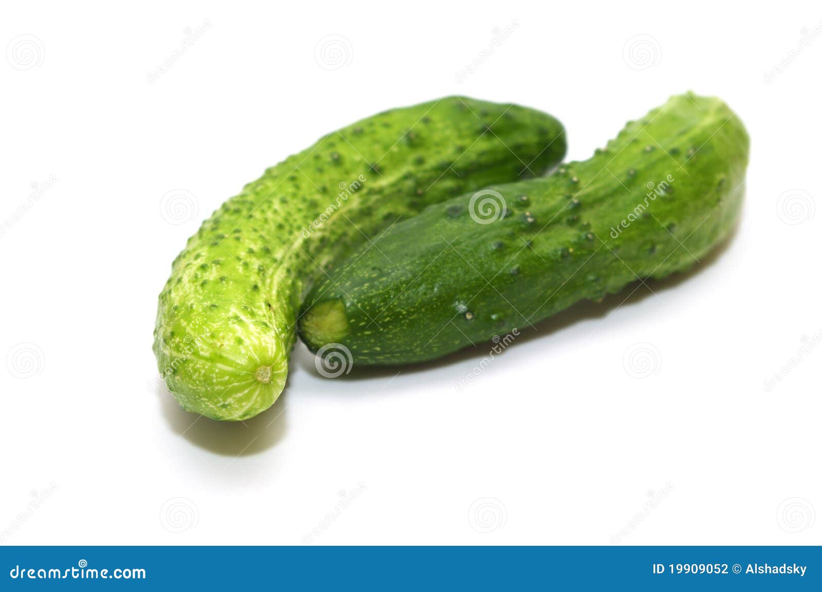 Gurkor arkivfoto. Bild av gräsplaner, bunt, isolerat - 19909052