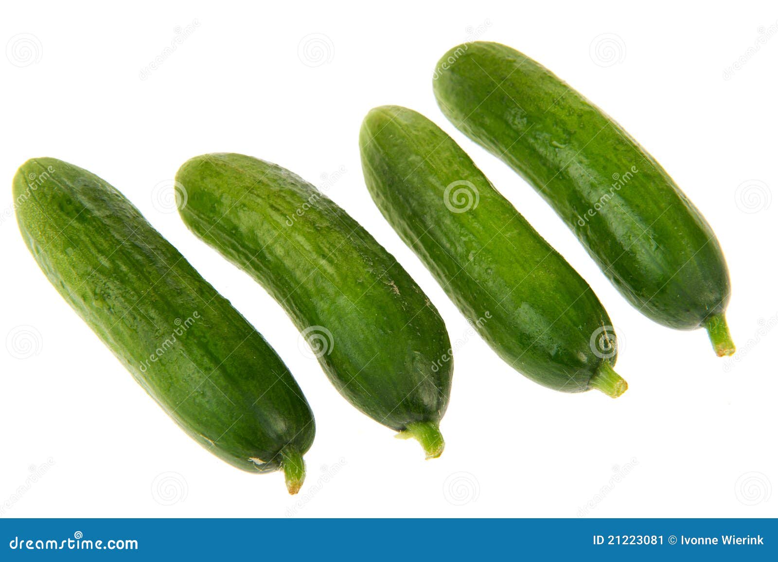 Gurkor fyra fotografering för bildbyråer. Bild av nytt - 21223081