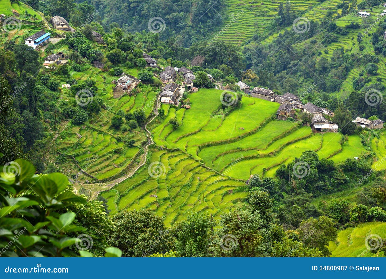 A Gurung Village between Rice Fields in the Himalayas, Nepal Stock ...