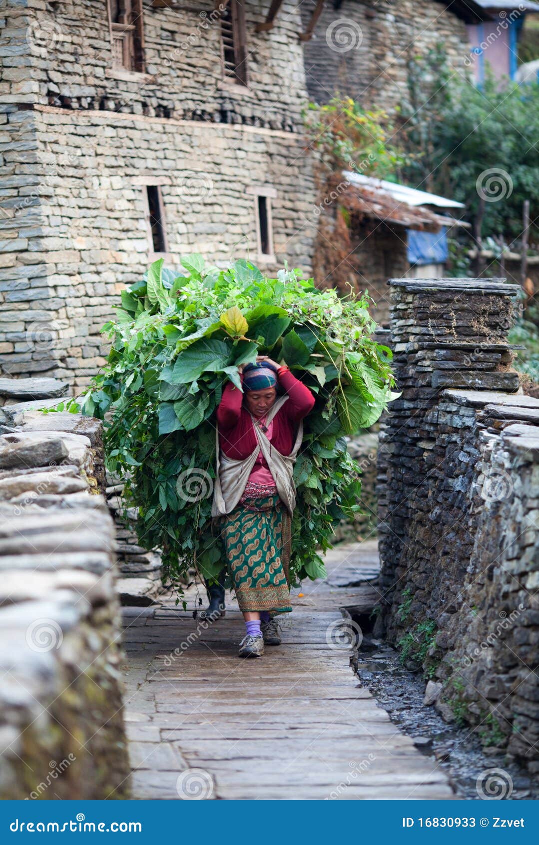 Gurung woman peasant editorial stock photo. Image of indigence - 16830933