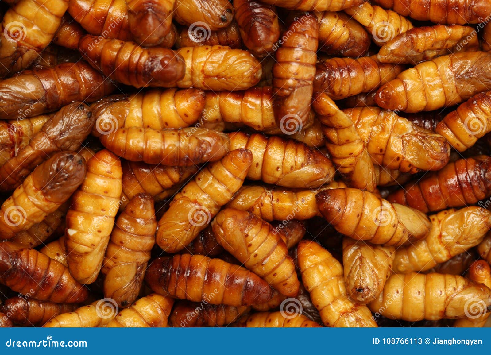 Gusano De Seda Coreano Cocido Al Vapor Imagen de archivo - Imagen de ...