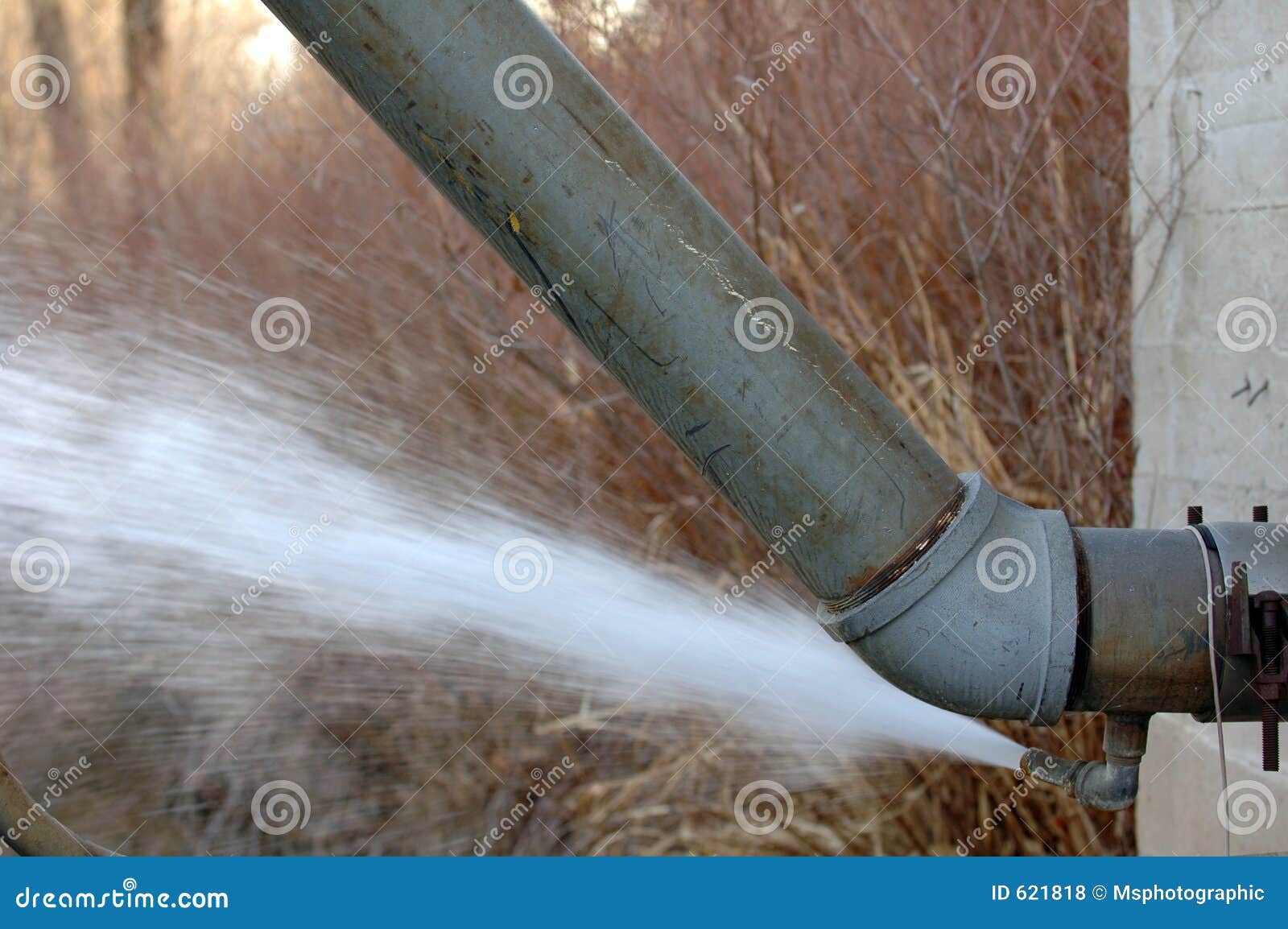 Gushing Water stock photo. Image of gushing, tree, field - 621818