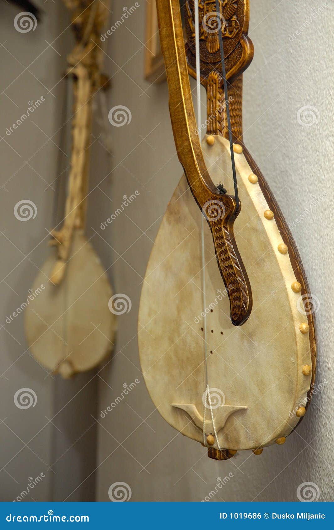 Gusle stock photo. Image of wood, acoustic, montenegrin - 1019686
