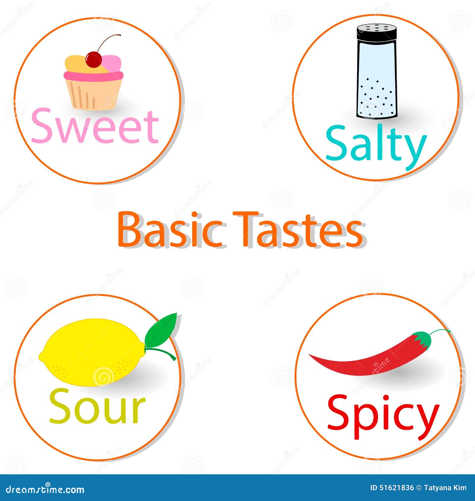 Gustos Básicos Ejemplo Del Vector, Infographics Ilustración del Vector ...