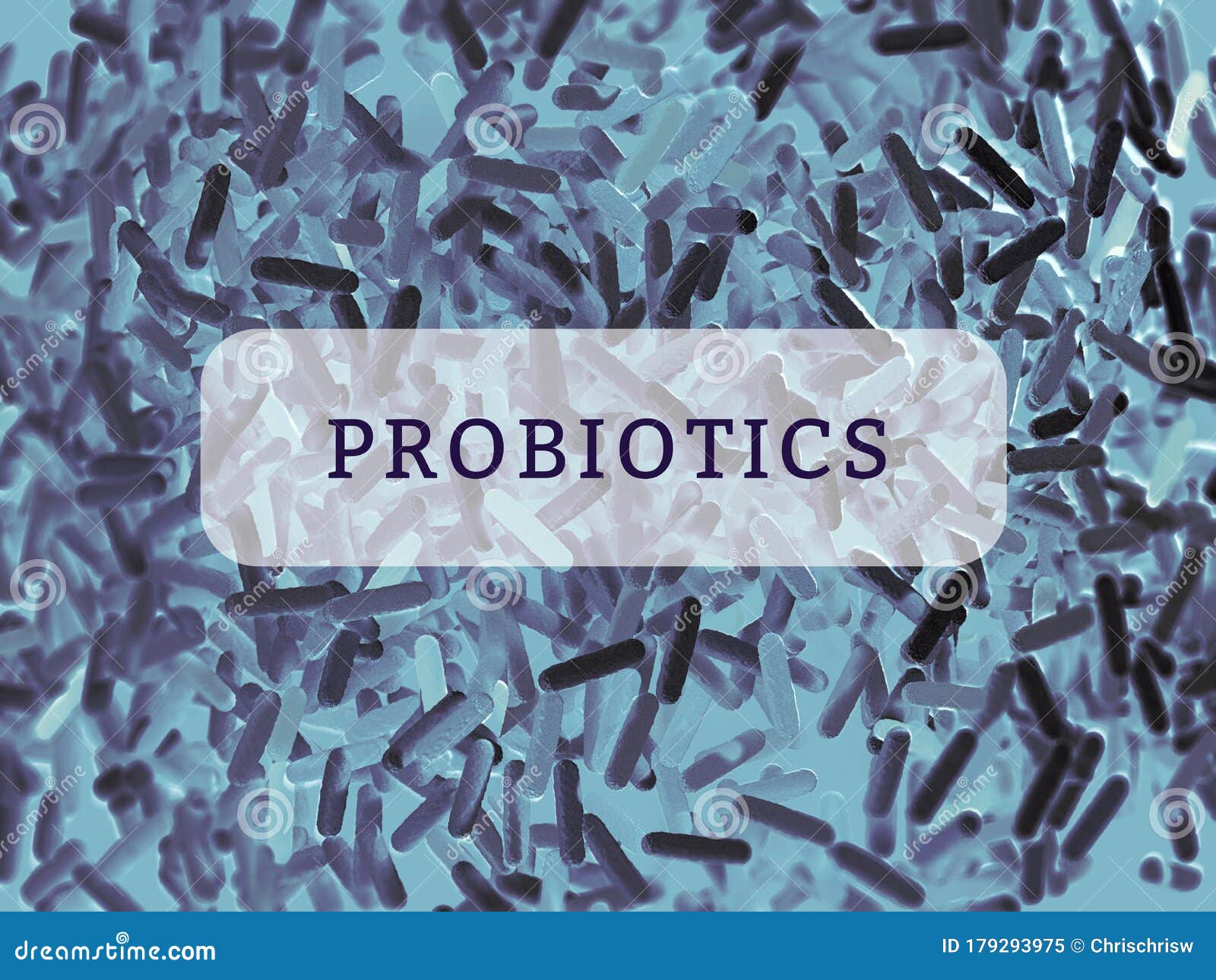 Gut Bacteria , Gut Flora, Microbiome. Bacteria Inside the Small ...