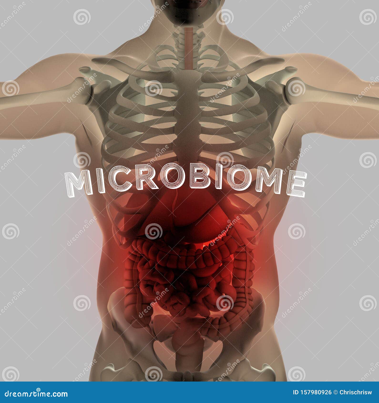 Gut Bacteria, Microbiome. Bacteria Inside the Large Intestine, Concept ...