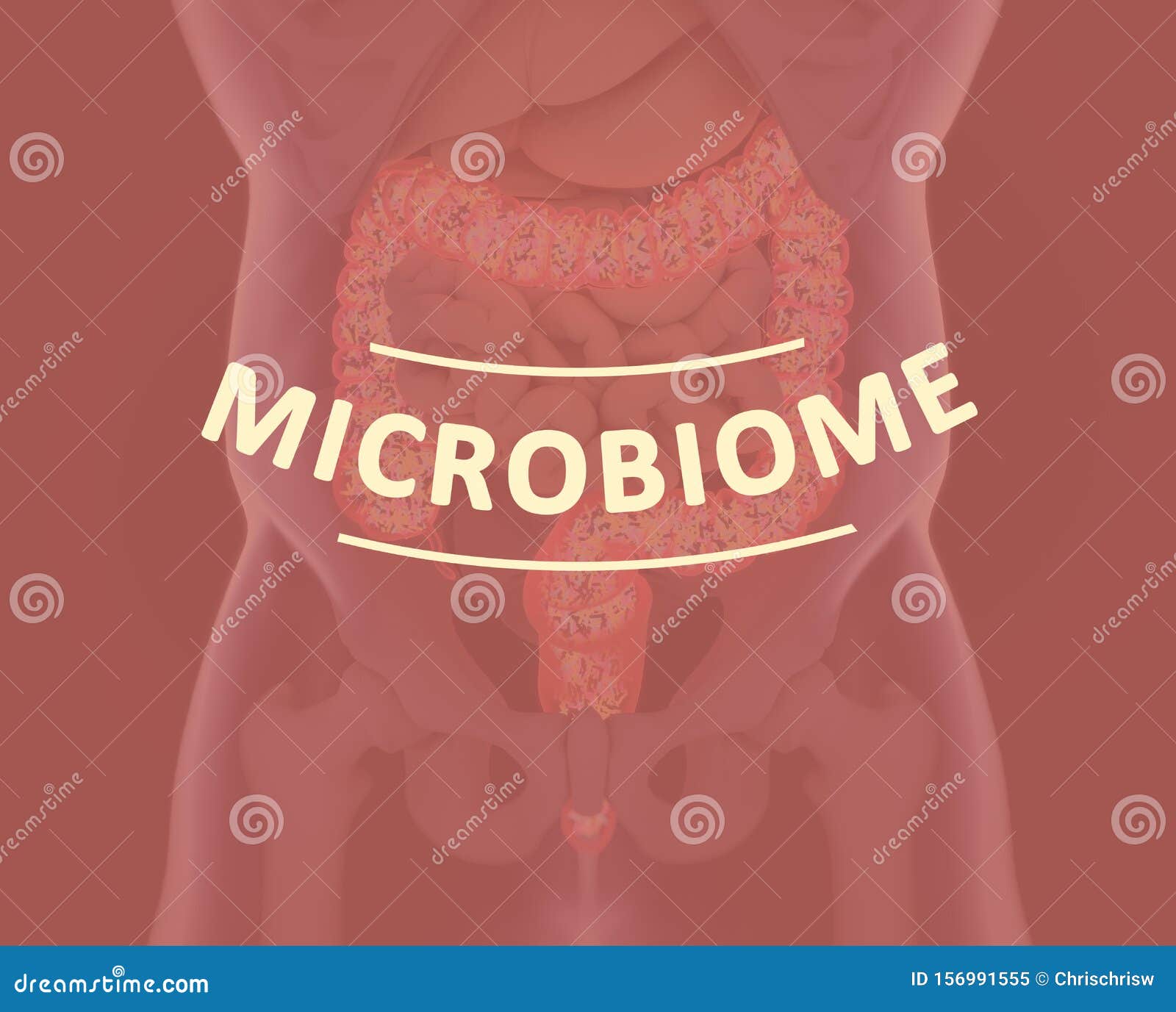 Gut Bacteria, Microbiome. Bacteria Inside The Large Intestine, Concept ...