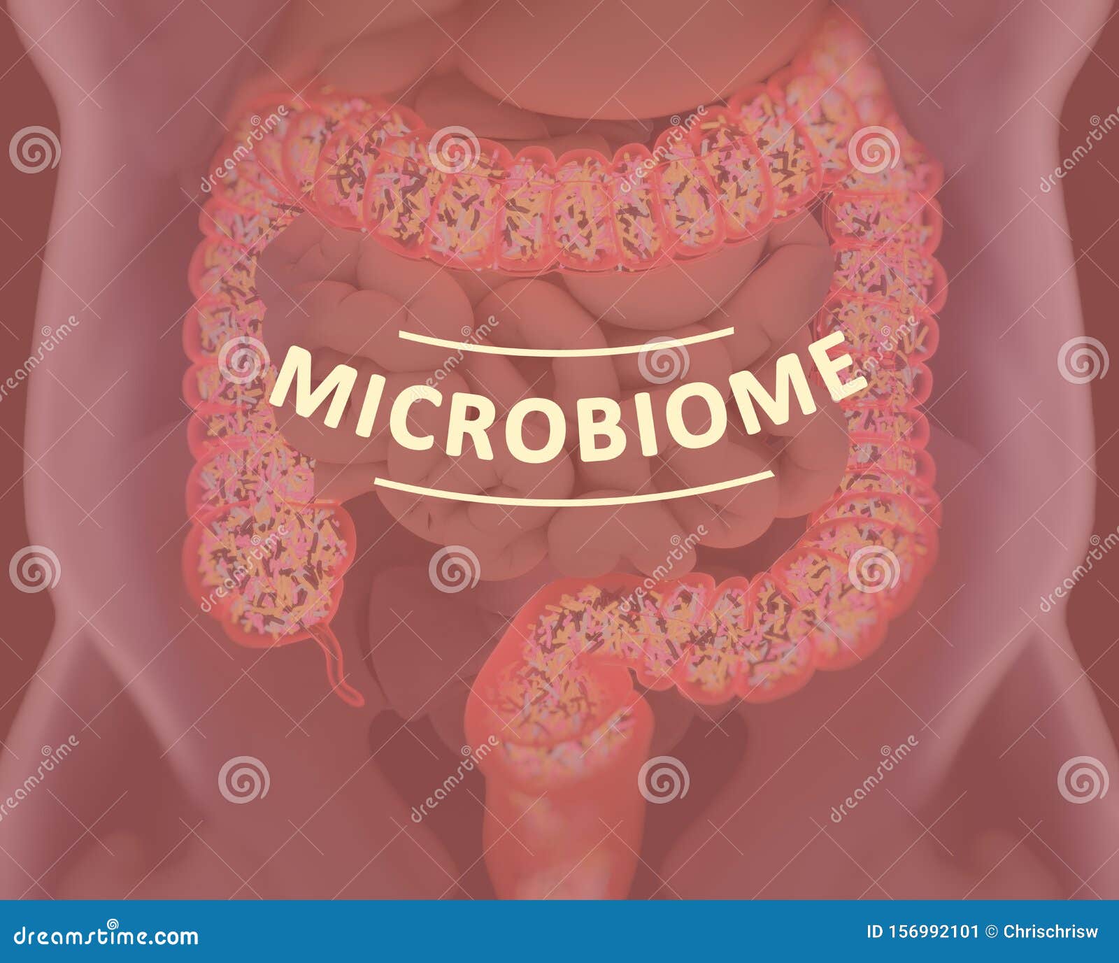 Gut Bacteria, Microbiome. Bacteria Inside The Large Intestine, Concept ...