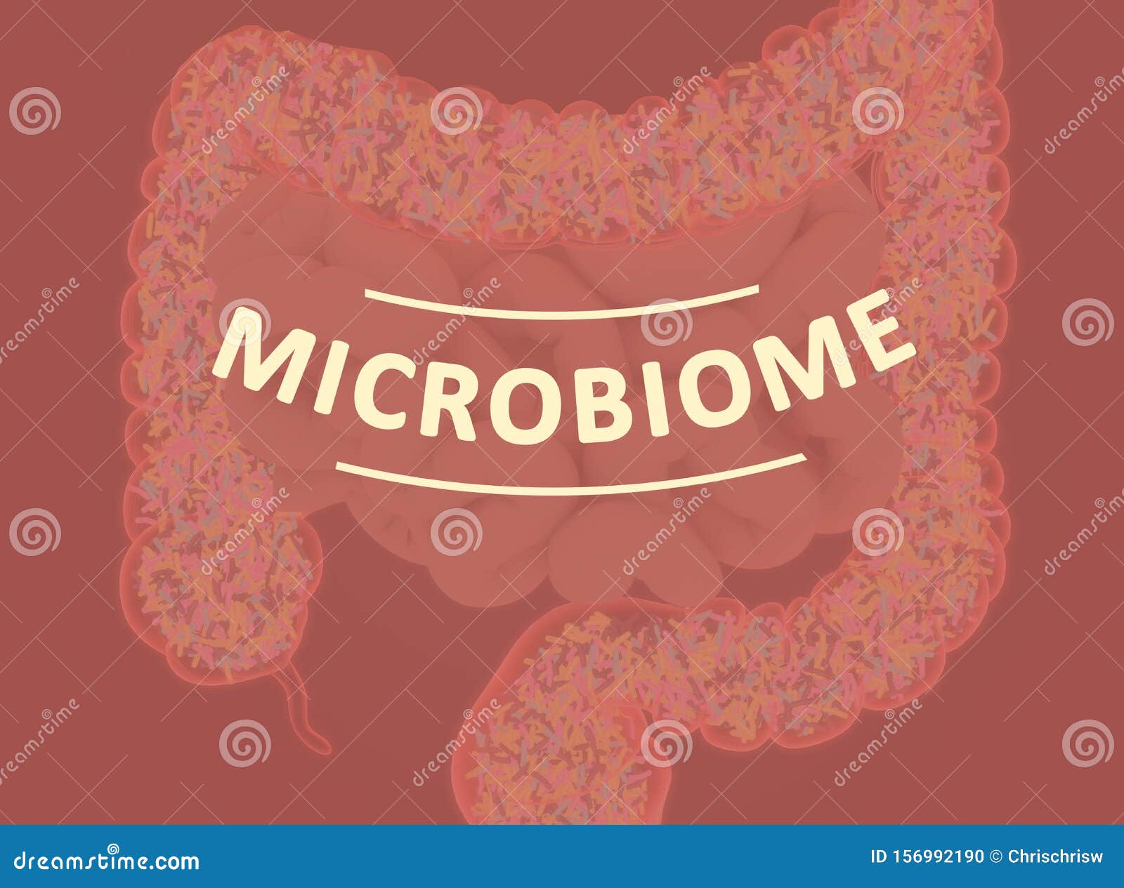Gut Bacteria, Microbiome. Bacteria Inside the Large Intestine, Concept ...