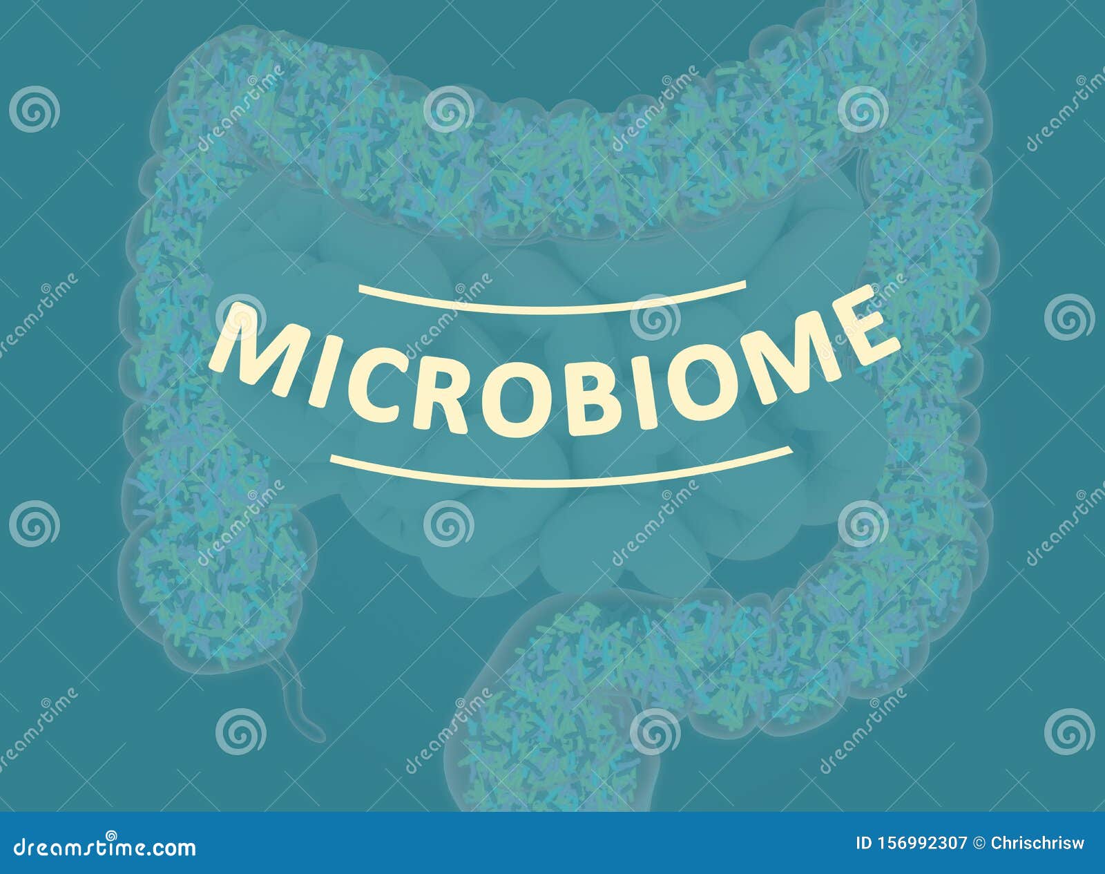 Gut Bacteria, Microbiome. Bacteria Inside The Large Intestine, Concept ...