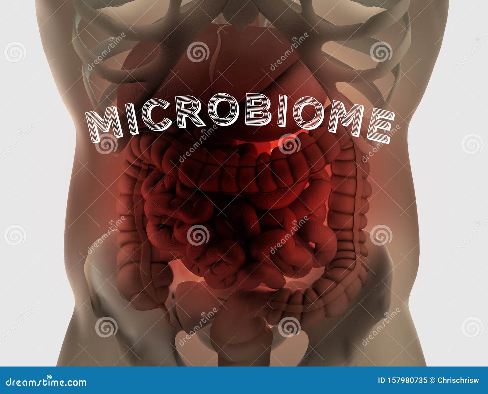 Gut Bacteria, Microbiome. Bacteria Inside the Large Intestine, Concept ...