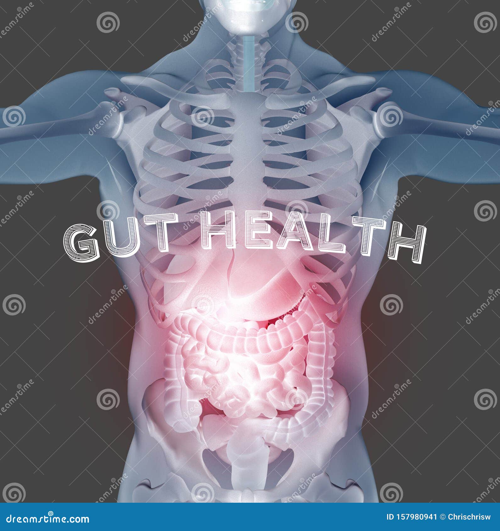 Gut Bacteria, Microbiome. Bacteria Inside the Large Intestine, Concept ...