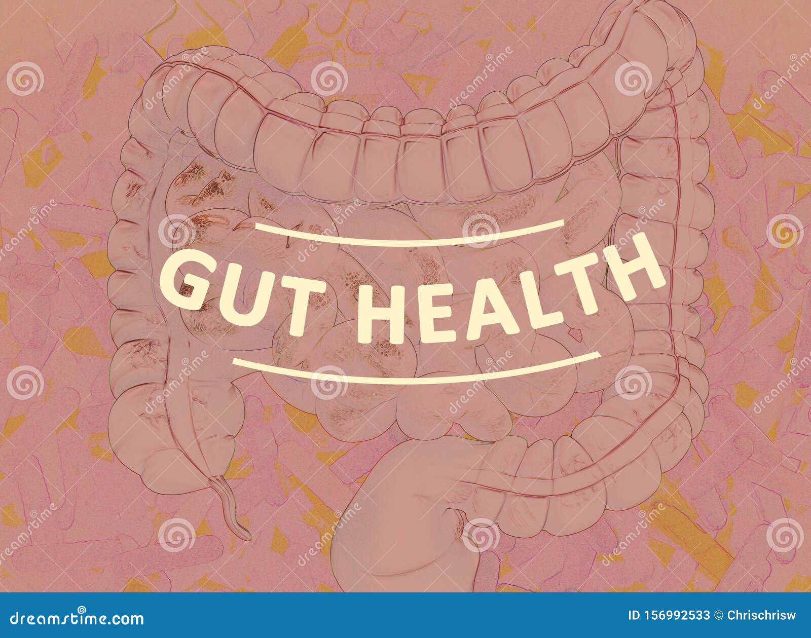 Gut Bacteria, Microbiome. Magnification of Bacteria Inside the ...