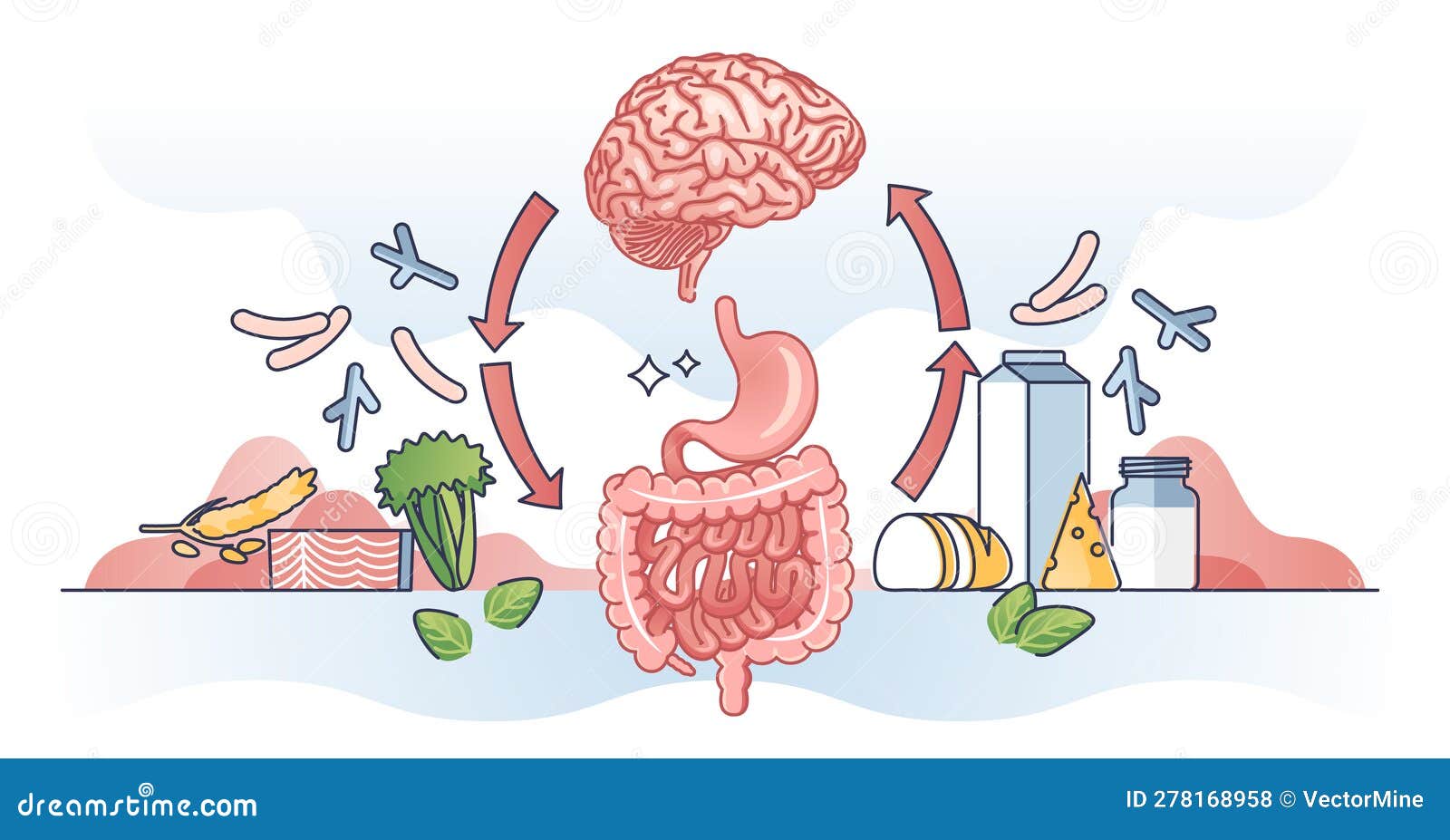 Gut Brain Axis and Interaction with Colon and Brain Organs Outline ... Gut Brain Axis and Interaction with Colon and Brain Organs Outline ...