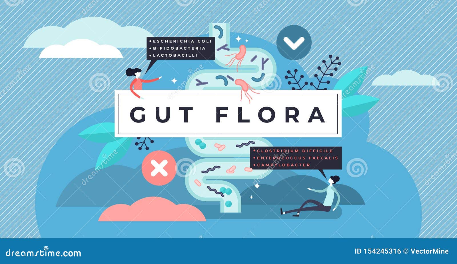 Flora Vector Pattern Designs | CartoonDealer.com #40854192