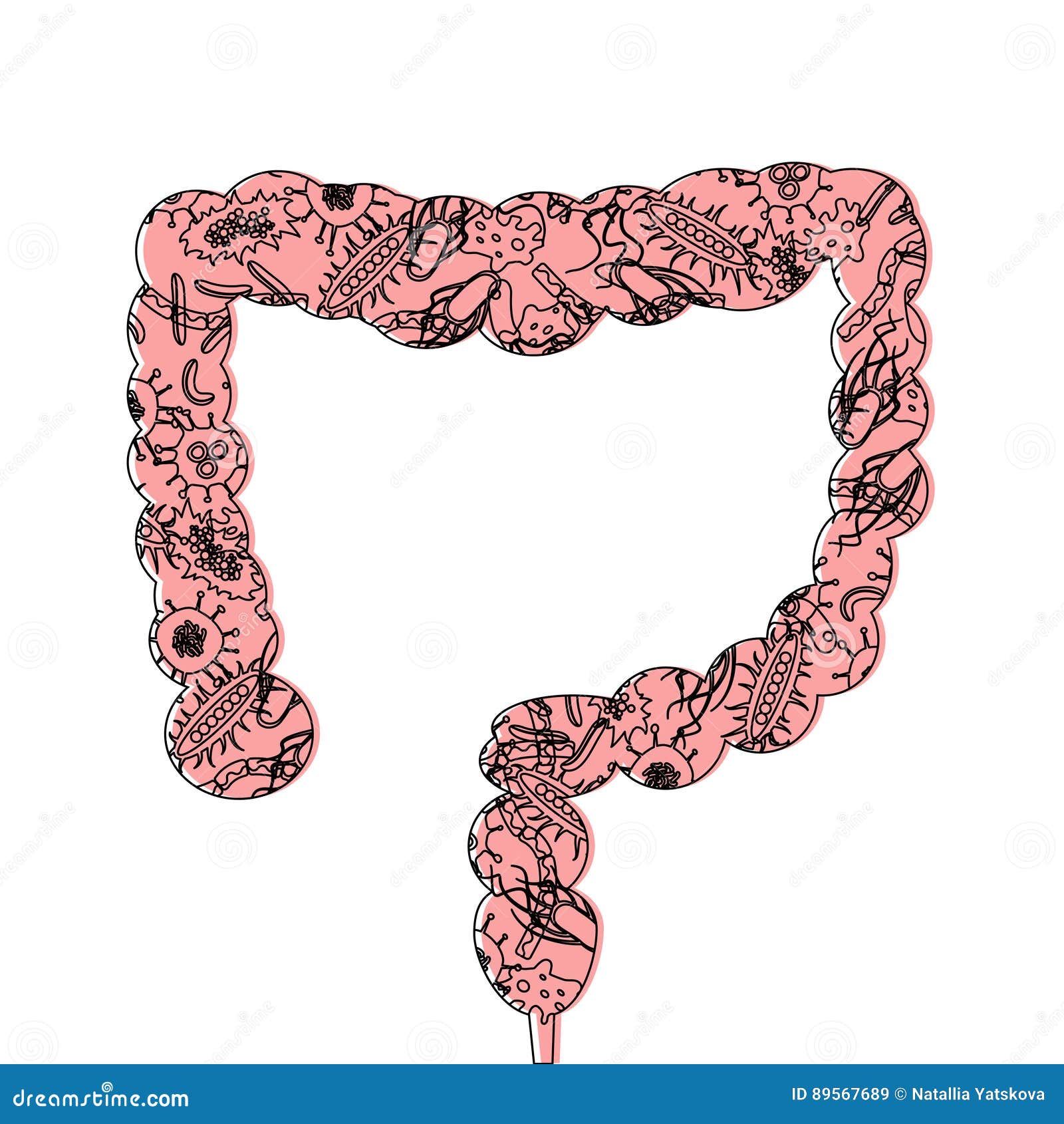 Gut human digestive system stock vector. Illustration of medical - 89567689