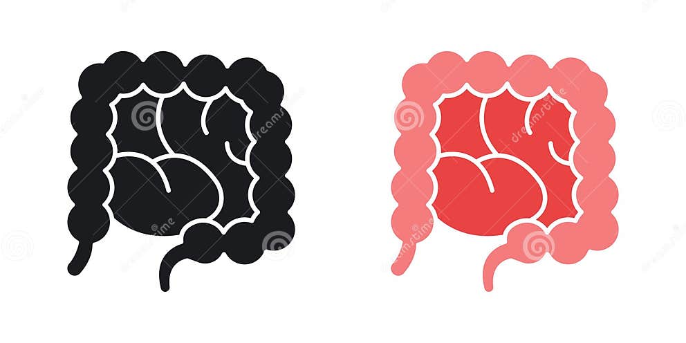 Gut icon vector stock vector. Illustration of edit, bowel - 348158354