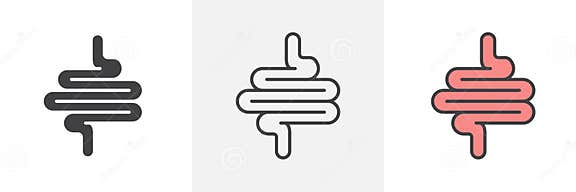 Gut icon vector stock illustration. Illustration of gastrointestinal ...