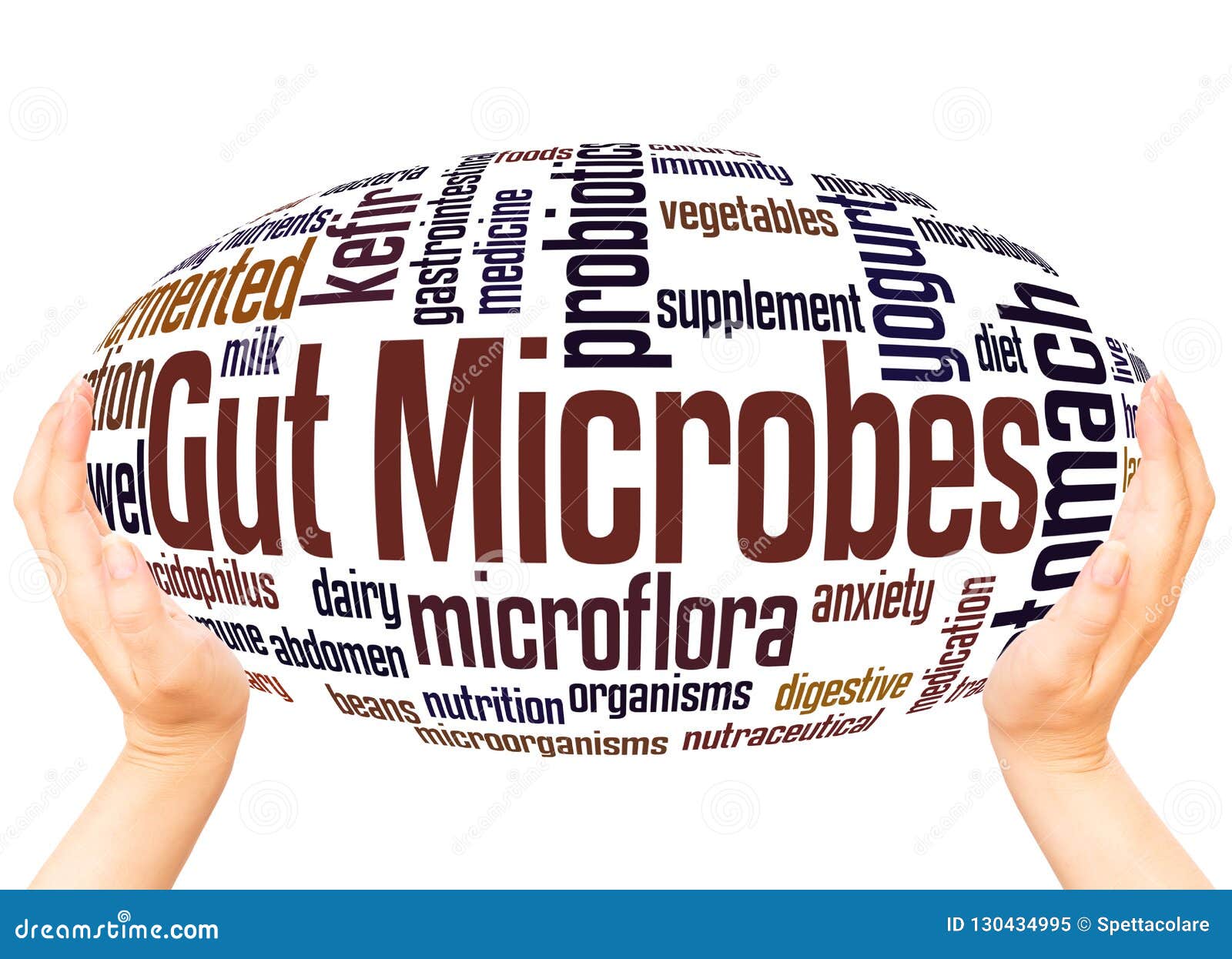 Microflora Word Cloud And Hand With Marker Concept Royalty-Free Stock ...