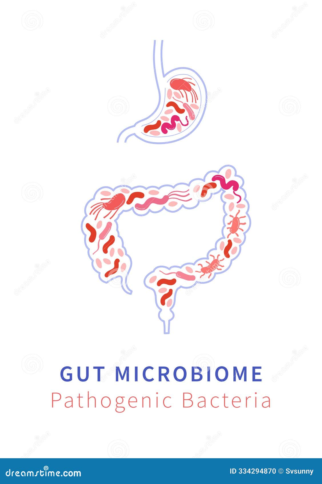 Gut Microbiome and Pathogenic Bacteria. Pathogen Bacteria and Digestive ...