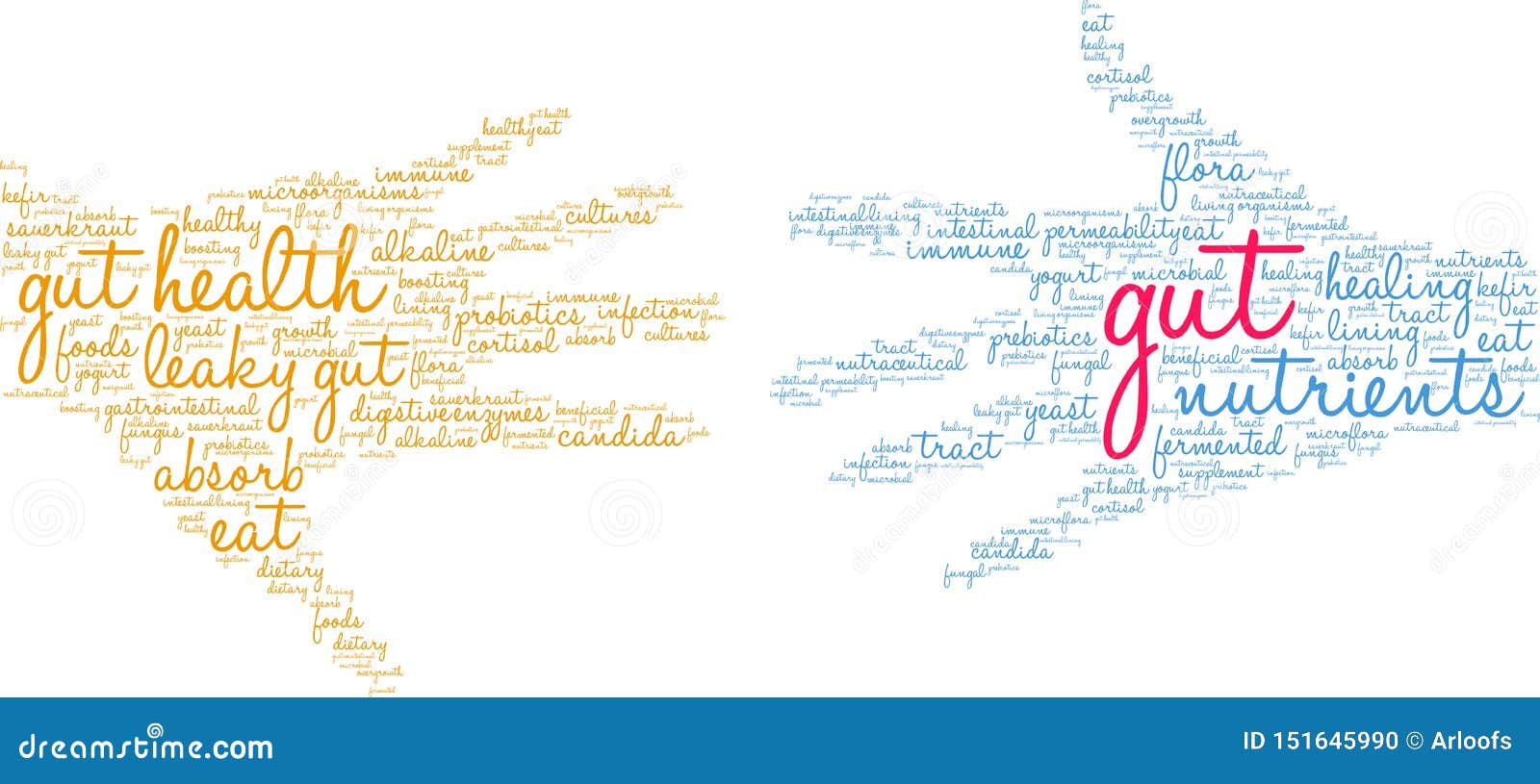 Gut Word Cloud stock vector. Illustration of cultures - 151645990