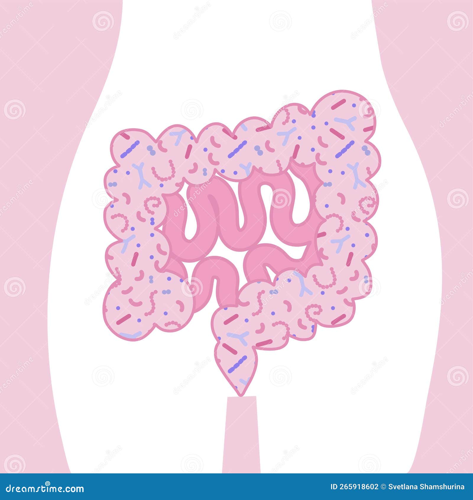 Guts With Microbiome In The Human Body. Intestines On The Background Of ...