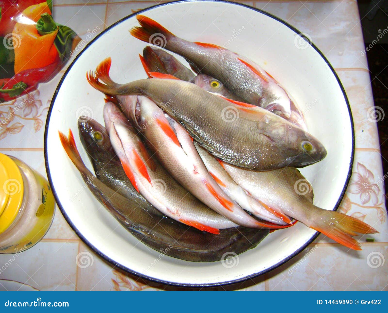 Gutted fish stock photo. Image of kitchen, food, dish - 14459890