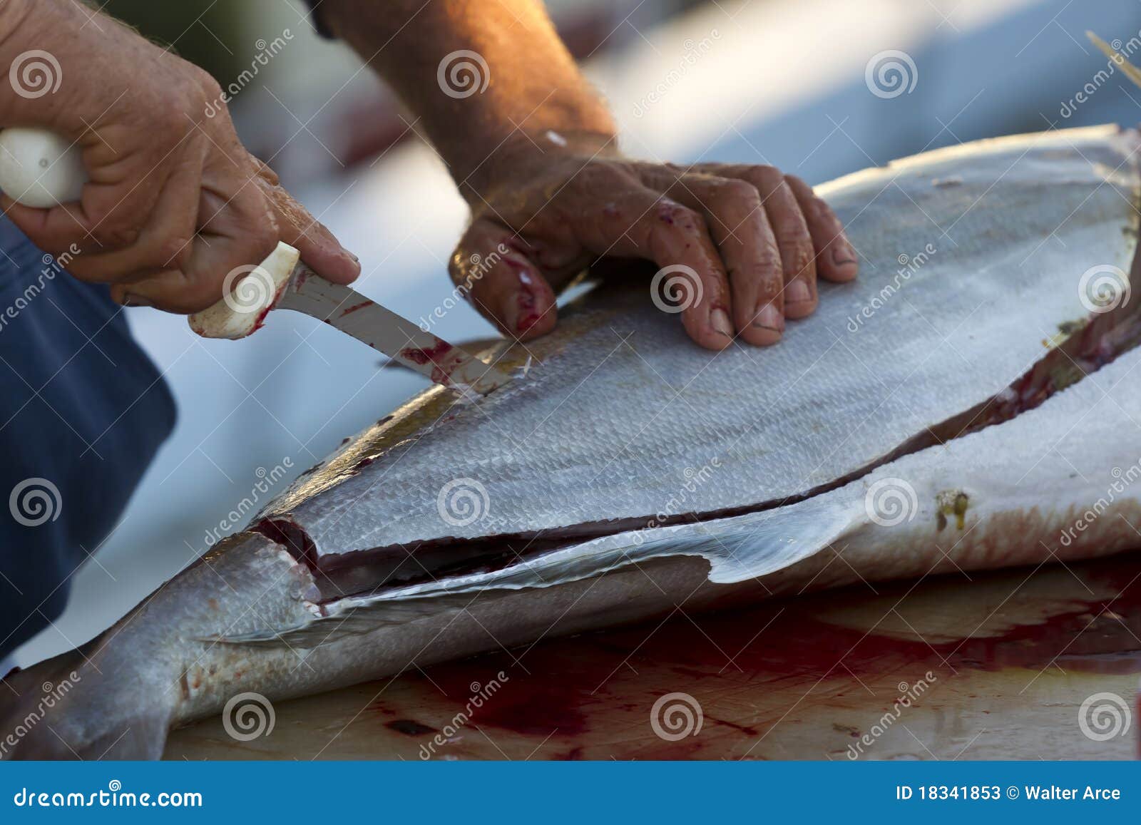 Gutted Fish stock image. Image of butcher, market, island - 18341853