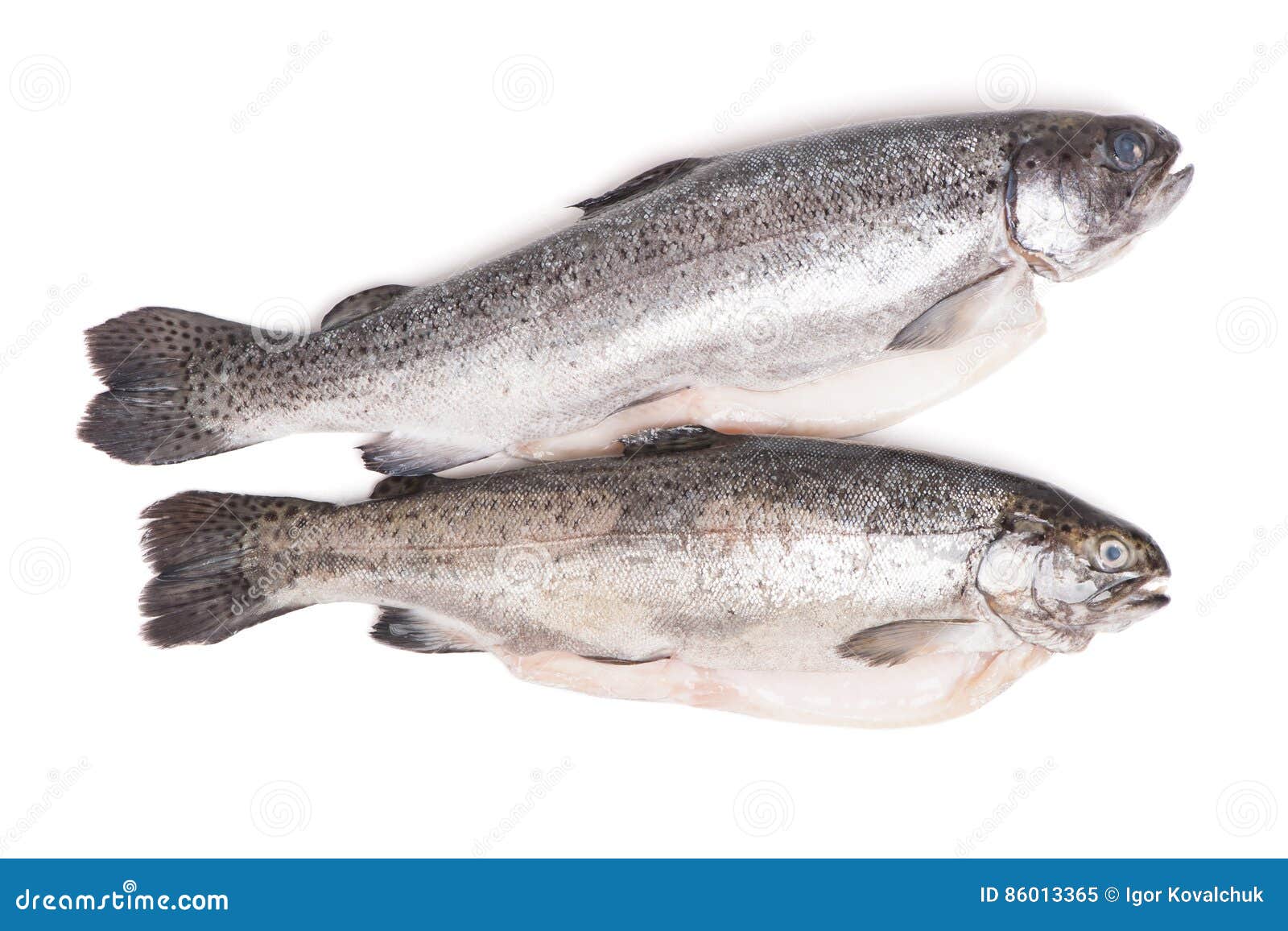Gutted trout fishes stock image. Image of dinner, food - 86013365