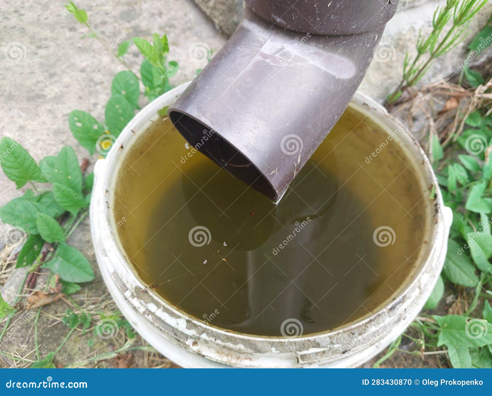 Gutter with Bucket Filled with Water Stock Photo - Image of guttering ...
