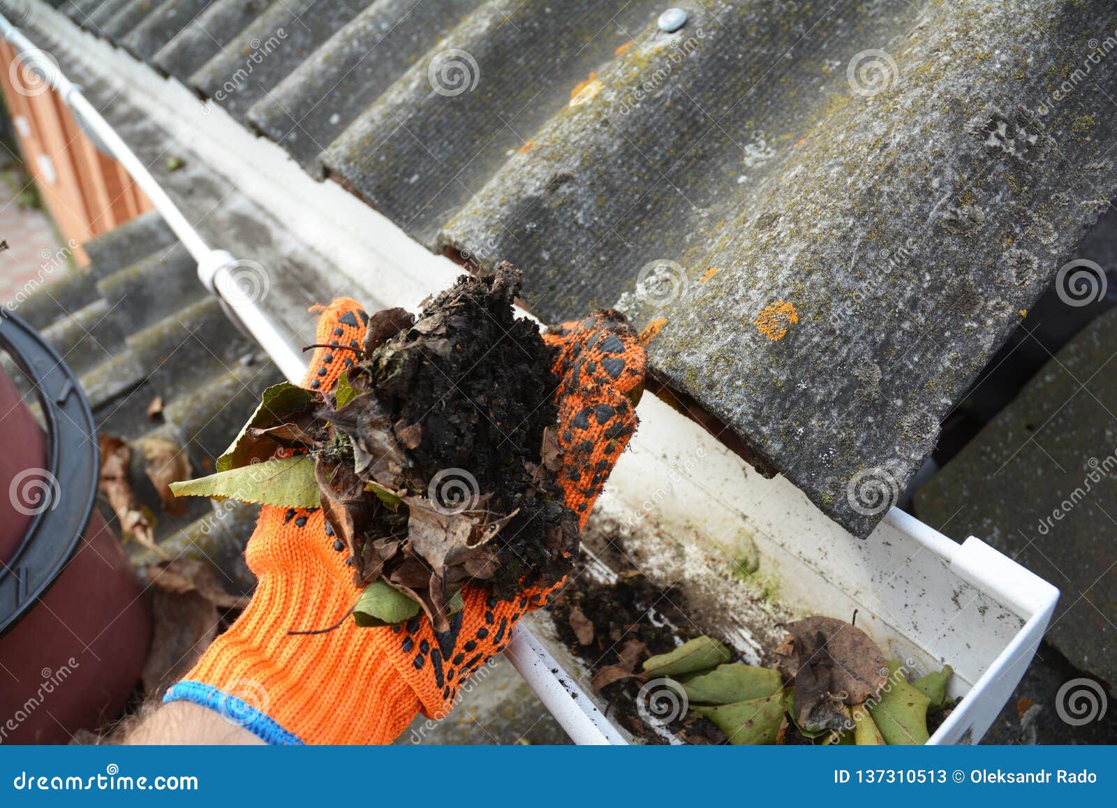 Gutter Cleaning with Hand from Fallen Leaves Stock Image - Image of ...
