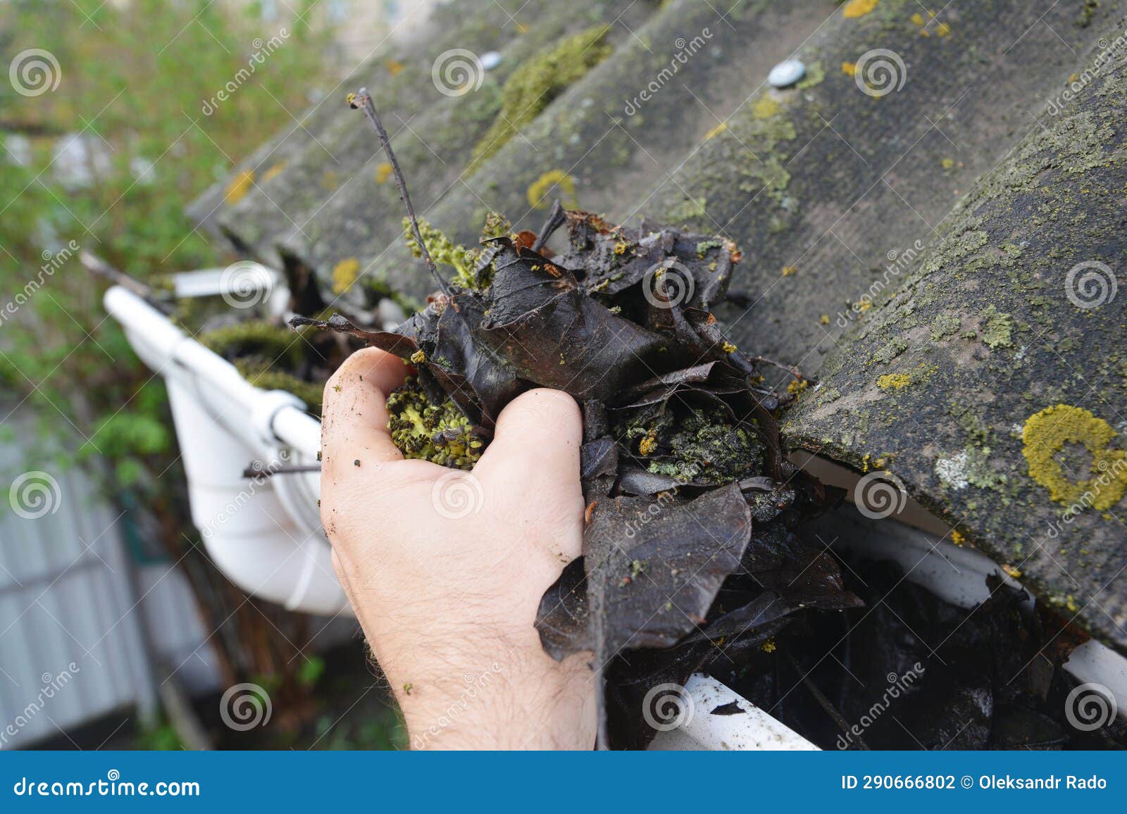 Gutter Cleaning. Rain Gutters Get Clogged with Leaves and Other Debris ...