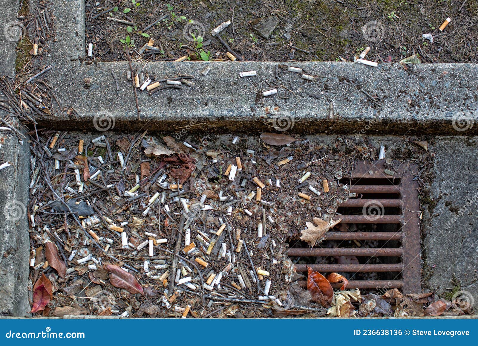 Gutter Drain. Storm Sewage During Rain. Rusty, Steel Drain Cover ...