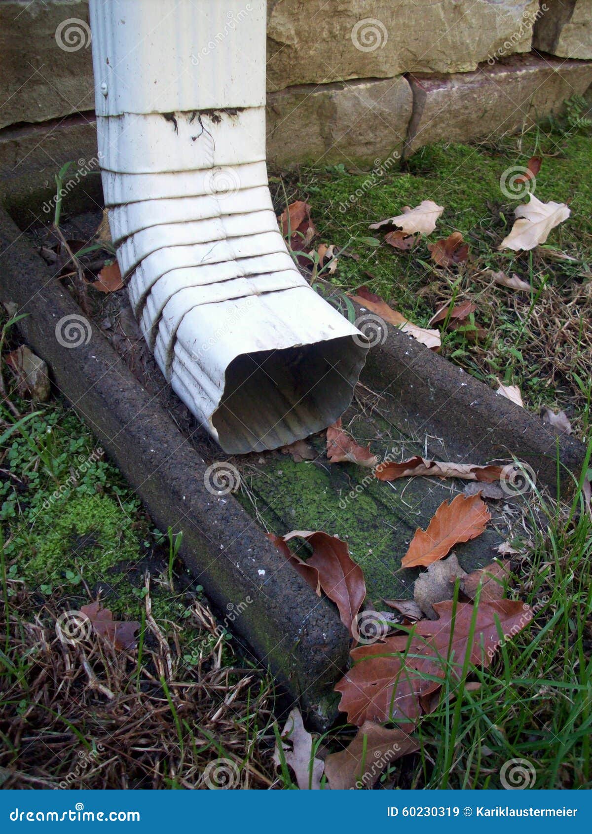 Gutter Spout stock image. Image of growing, maintanence - 60230319
